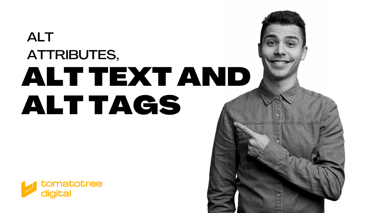 Understanding Alt Attributes in SEO Guide | TomatoTree Digital