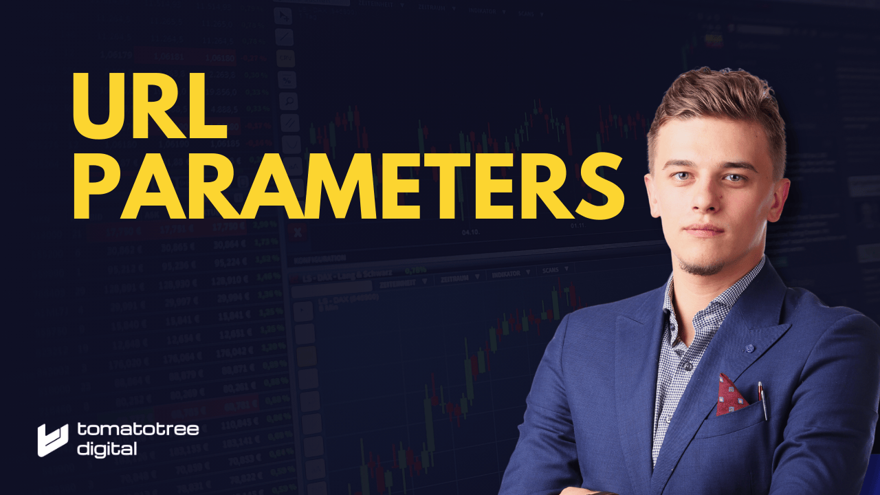 URL Parameters: Managing Dynamic URLs Guide | TomatoTree Digital